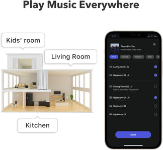 WiiM Pro. Versatile Multiroom Audio Streamer | AirPlay 2 | Google Cast ...